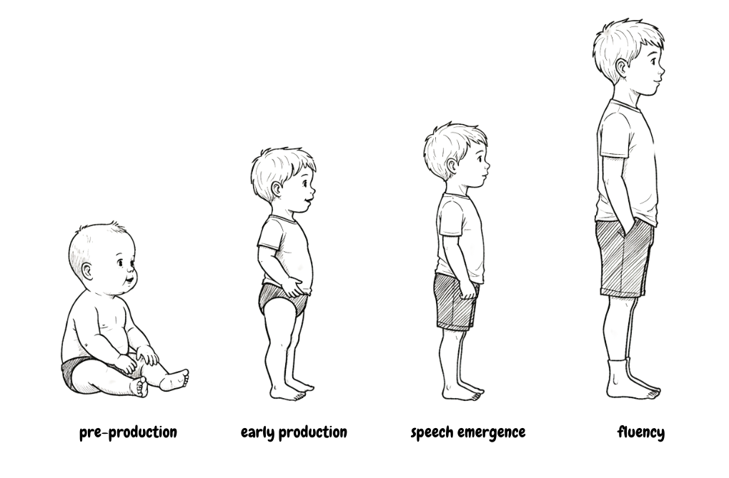 The Stages of Language Acquisition: A Natural Journey Toward Fluency